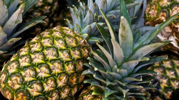 Zapatos fabricados de piña ya están en Chile - El Mostrador