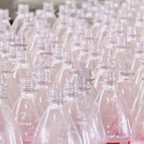 Botella única retornable reduce 10% de plástico al año - El Mostrador