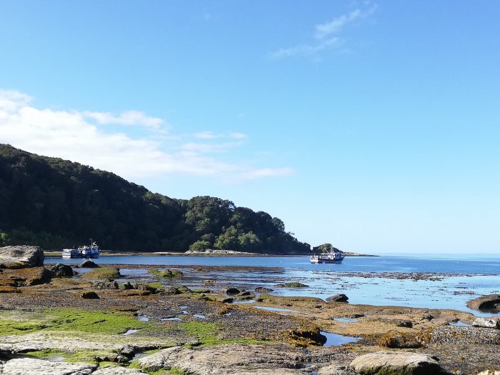 Avanza proceso para establecer la Isla de Guafo en un Espacio Costero ...